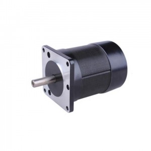 Brushless DC Motor