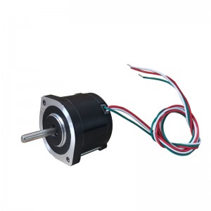 3 Phase Motor